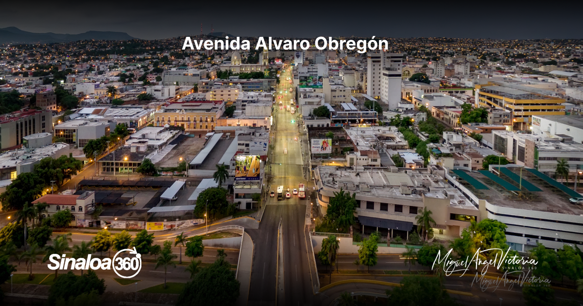 Photographs of the avenue Alvaro Obregón, “La Obregón” 2020 ️